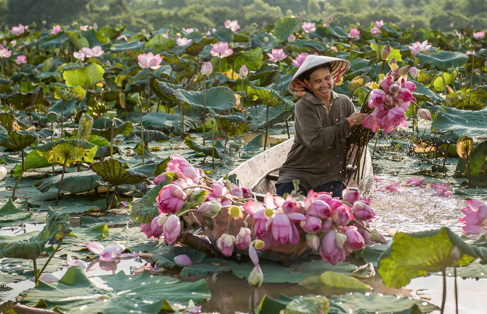 Pastoral life captured by Thai photographer's lens