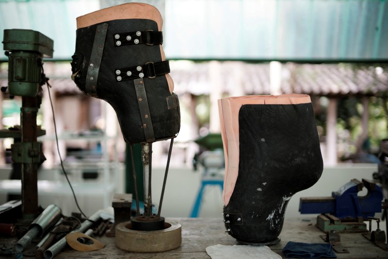 Best foot forward: Disabled elephant ‘Mosha’ gets new prosthetic leg ...