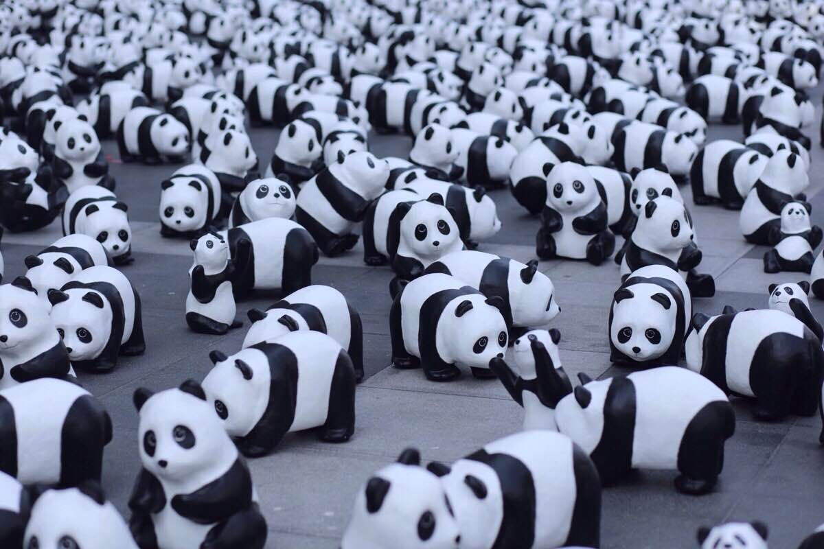 ‘1600 Panda’ mob hits CentralWorld