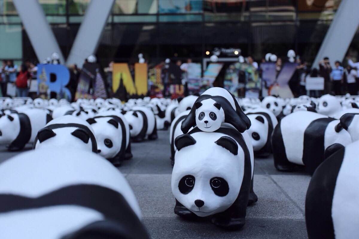‘1600 Panda’ mob hits CentralWorld