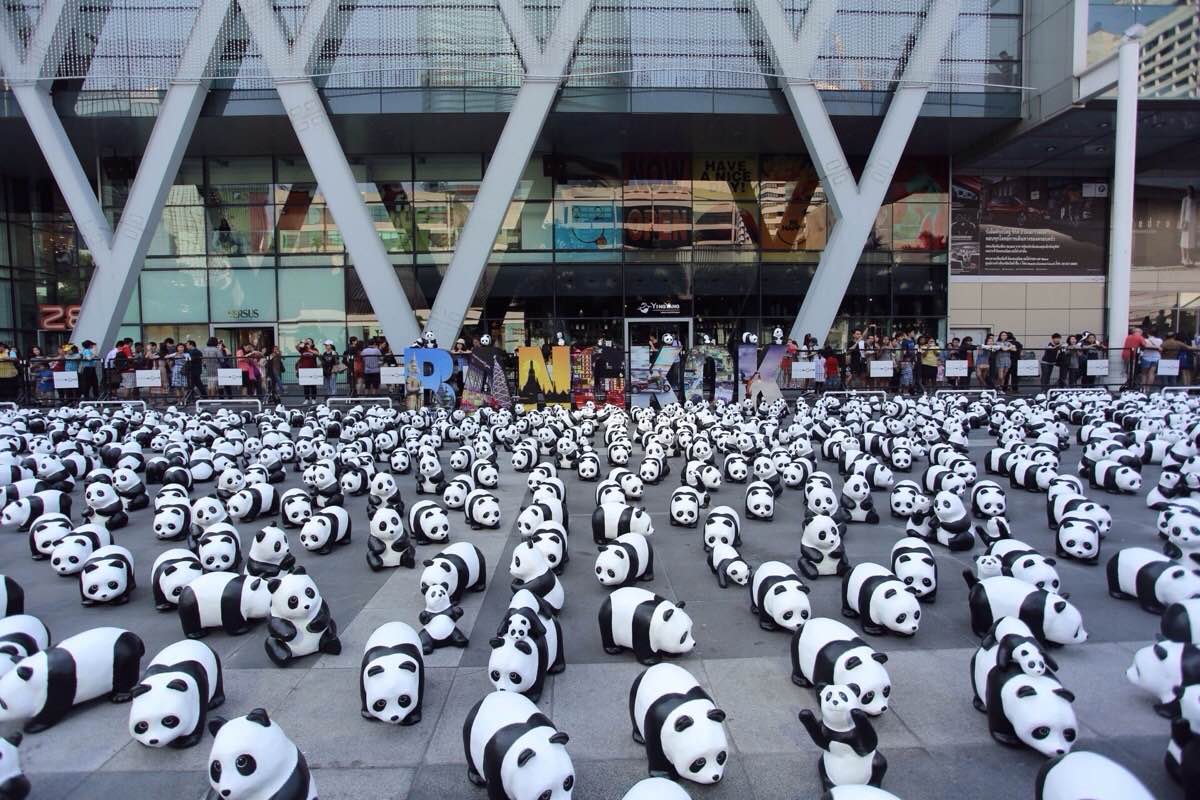 ‘1600 Panda’ mob hits CentralWorld