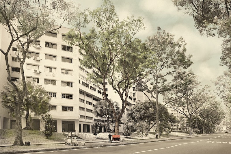 In pics: 2 flora and fauna exhibitions at the National Museum's ...