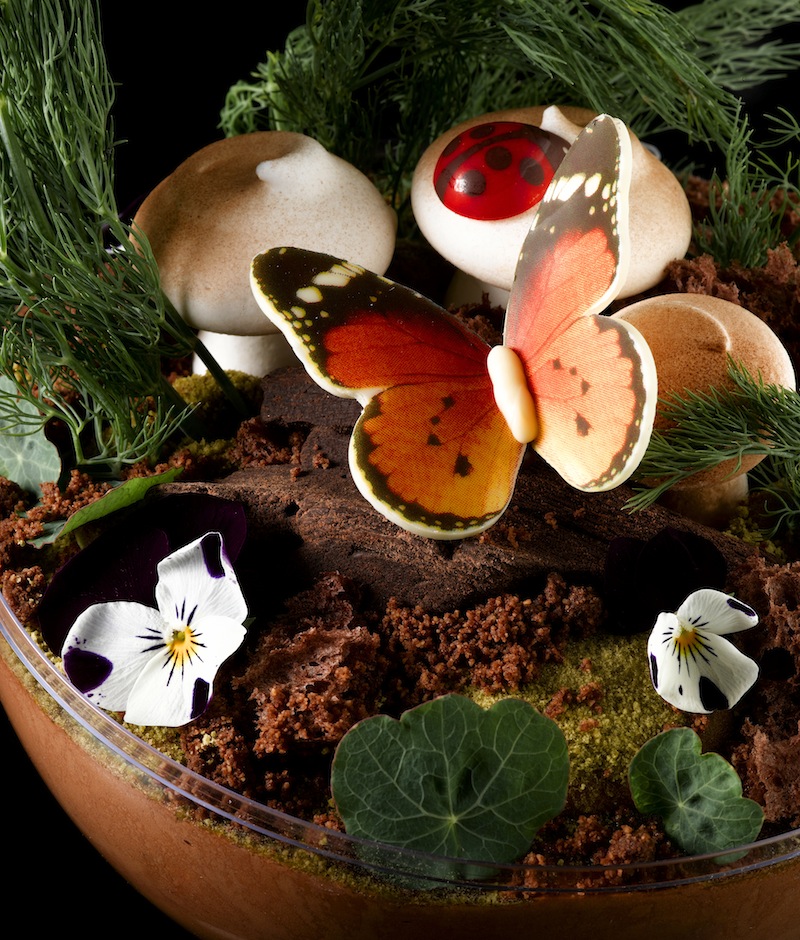 Try this edible chocolate terrarium cake (and 4 more new ones) at ...