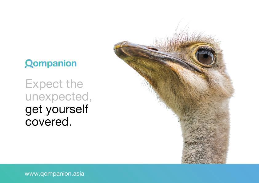 Malaysians, brands fill social media with hilarious runaway ostrich ...