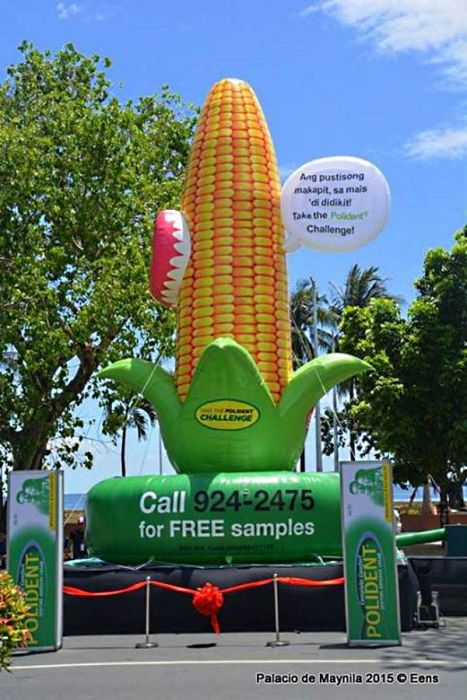 Pinoys are the No. 1 pustiso-wearers in Asia | Coconuts