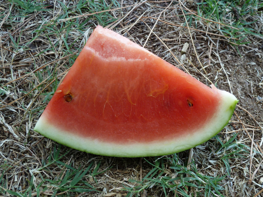 Toddler ‘killed for stealing watermelon’ | Coconuts