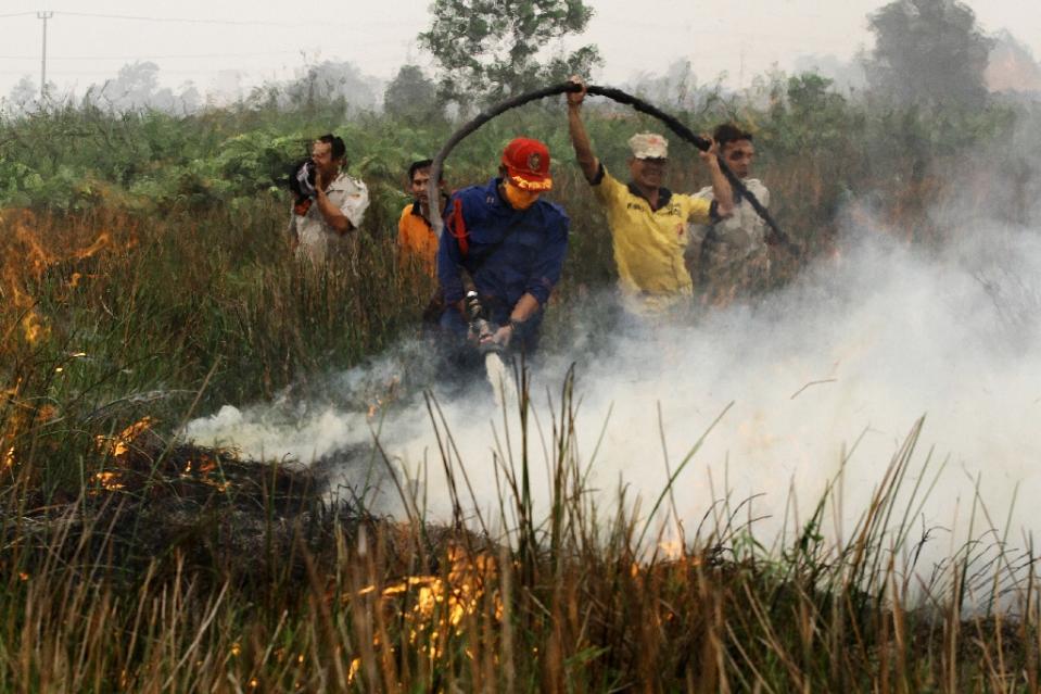 International help arrives to tackle Indonesia fires | Coconuts