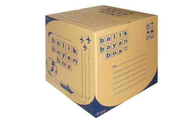 Finally! 400 undelivered balikbayan boxes to be released to owners ...