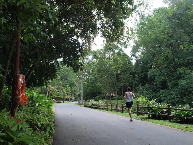 NParks enforcement officers to be armed with self-defence capabilities ...