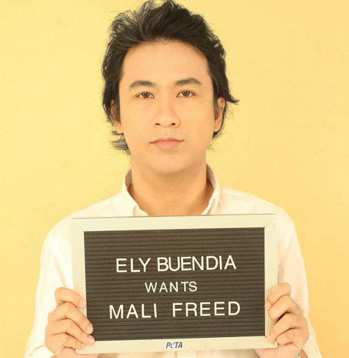 Ely Buendia joins campaign to free the only elephant in the Philippines ...