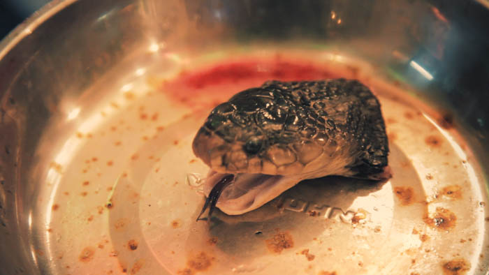 Freaky Feasts goes to 'Nam to taste the heart of darkness | Coconuts