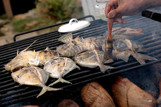 Bali fish prices swimming high | Coconuts