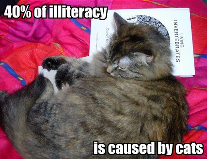 Ain’t write: Thailand’s child literacy ranked fifth in Asia