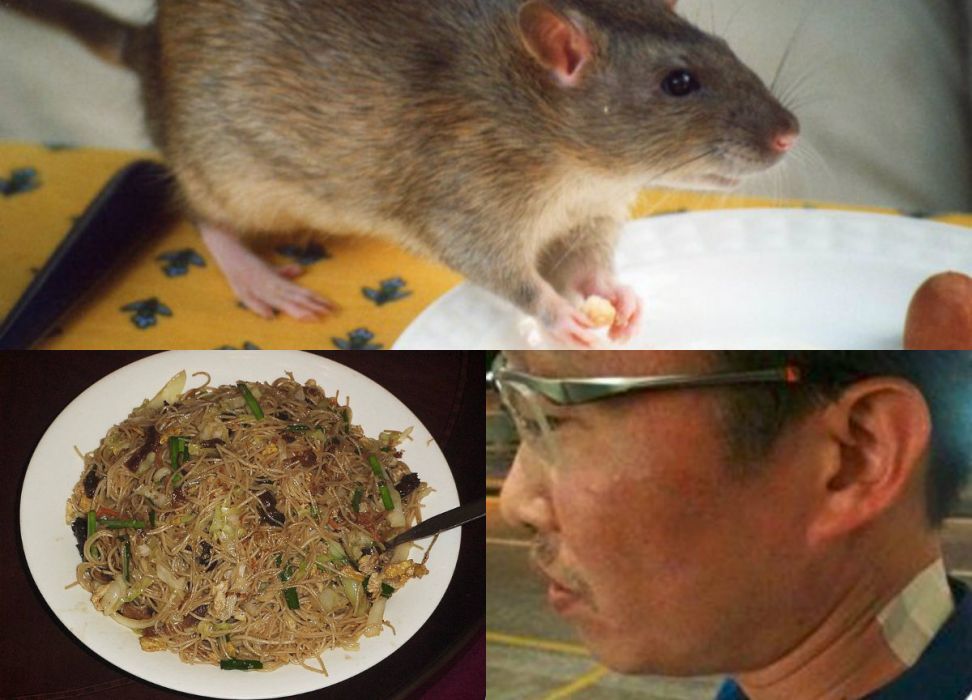 Hungry rat scratches patron's neck in Tin Hau noodle shop | Coconuts