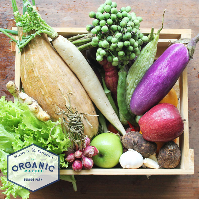 The Organic Market starts on Sunday at Burgos Park in BGC | Coconuts Manila