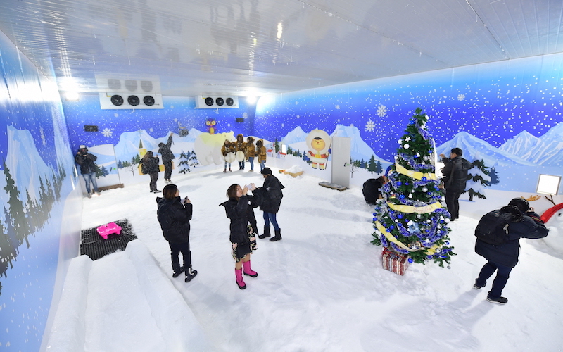 Build a snowman, catch snowflakes and slide down the snow luge at this ...