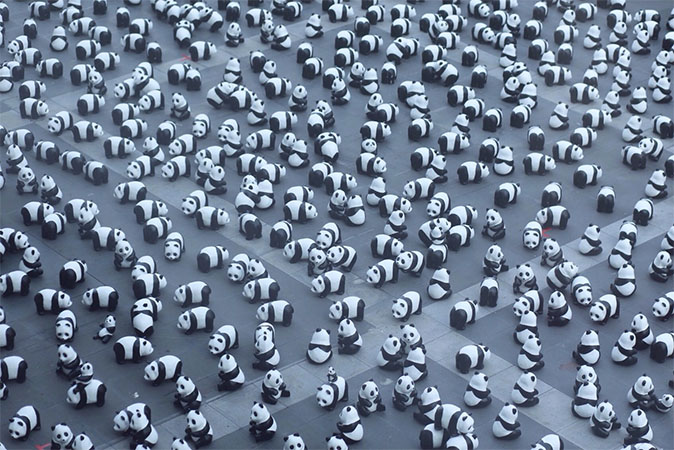 ‘1600 Panda’ mob hits CentralWorld