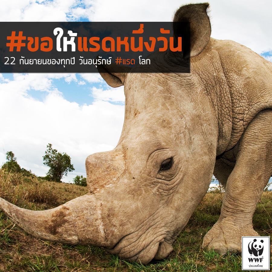 Today is totally ‘rad’ day