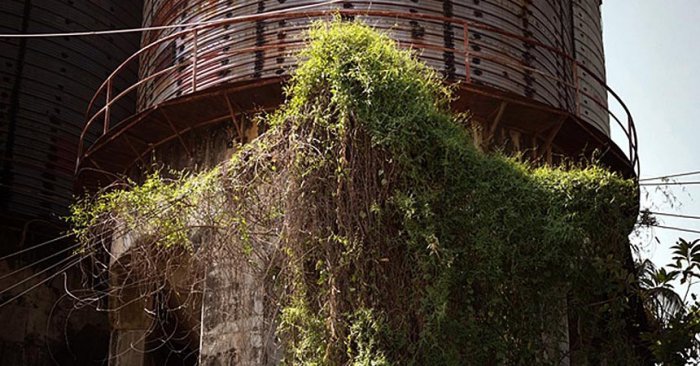 Photog brings ‘signs’ of doomsday sooner than expected | Coconuts