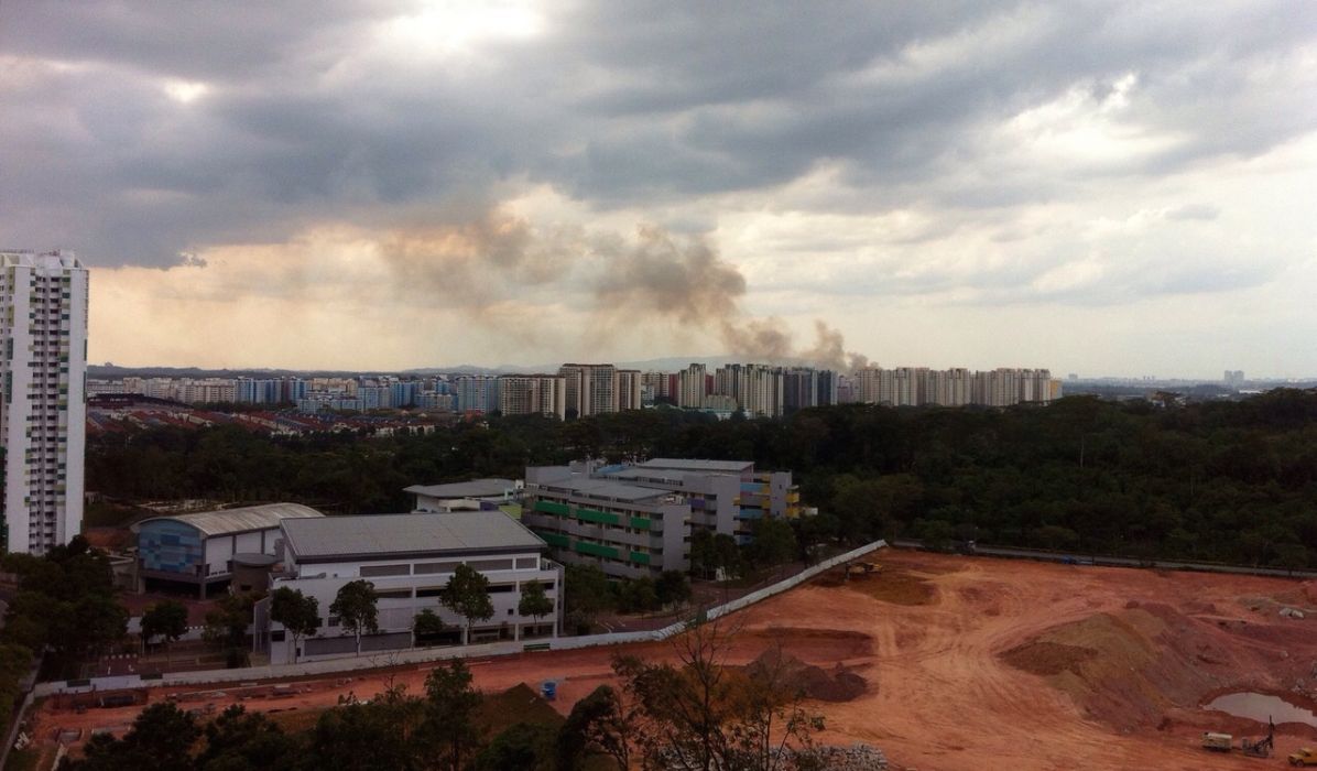 Sungei Kadut vegetation fire the size of three football fields: SCDF ...