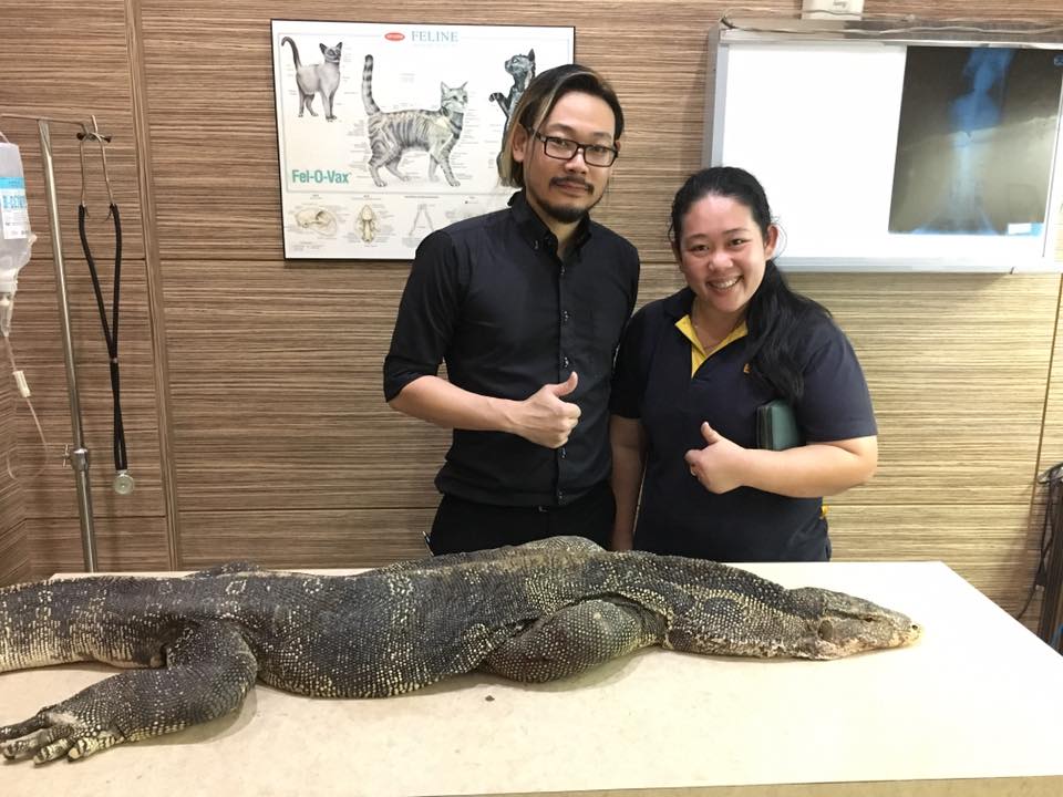 Virtuous Vet: Animal doctor goes viral for his treatment of paralyzed ...