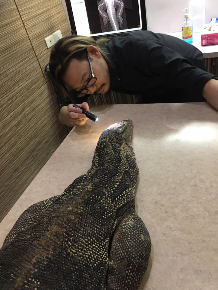 Virtuous Vet: Animal doctor goes viral for his treatment of paralyzed ...