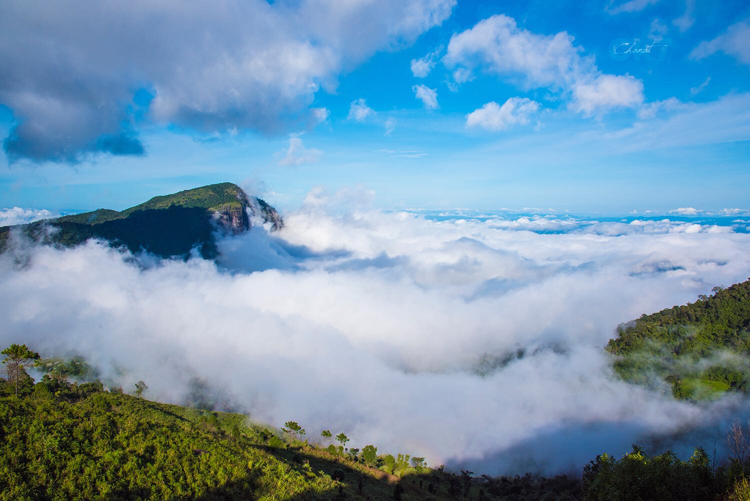 Winter is coming: You can now feel the cold atop Doi Inthanon | Coconuts