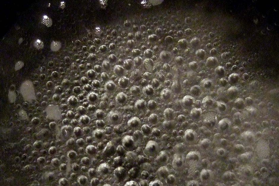 Man dies after falling into a large pot of boiling water | Coconuts