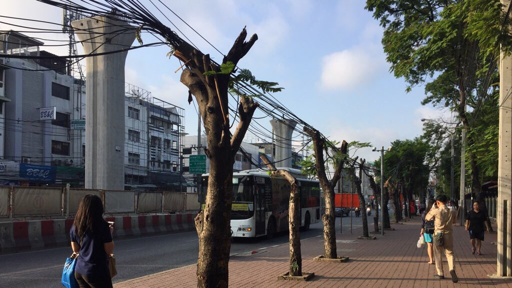 Skytrain contractor fined 28,000 baht for extreme tree trimming | Coconuts