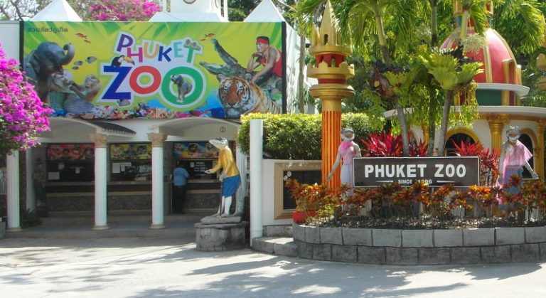 Following viral cruelty photos, Phuket Zoo under fire for animal ...