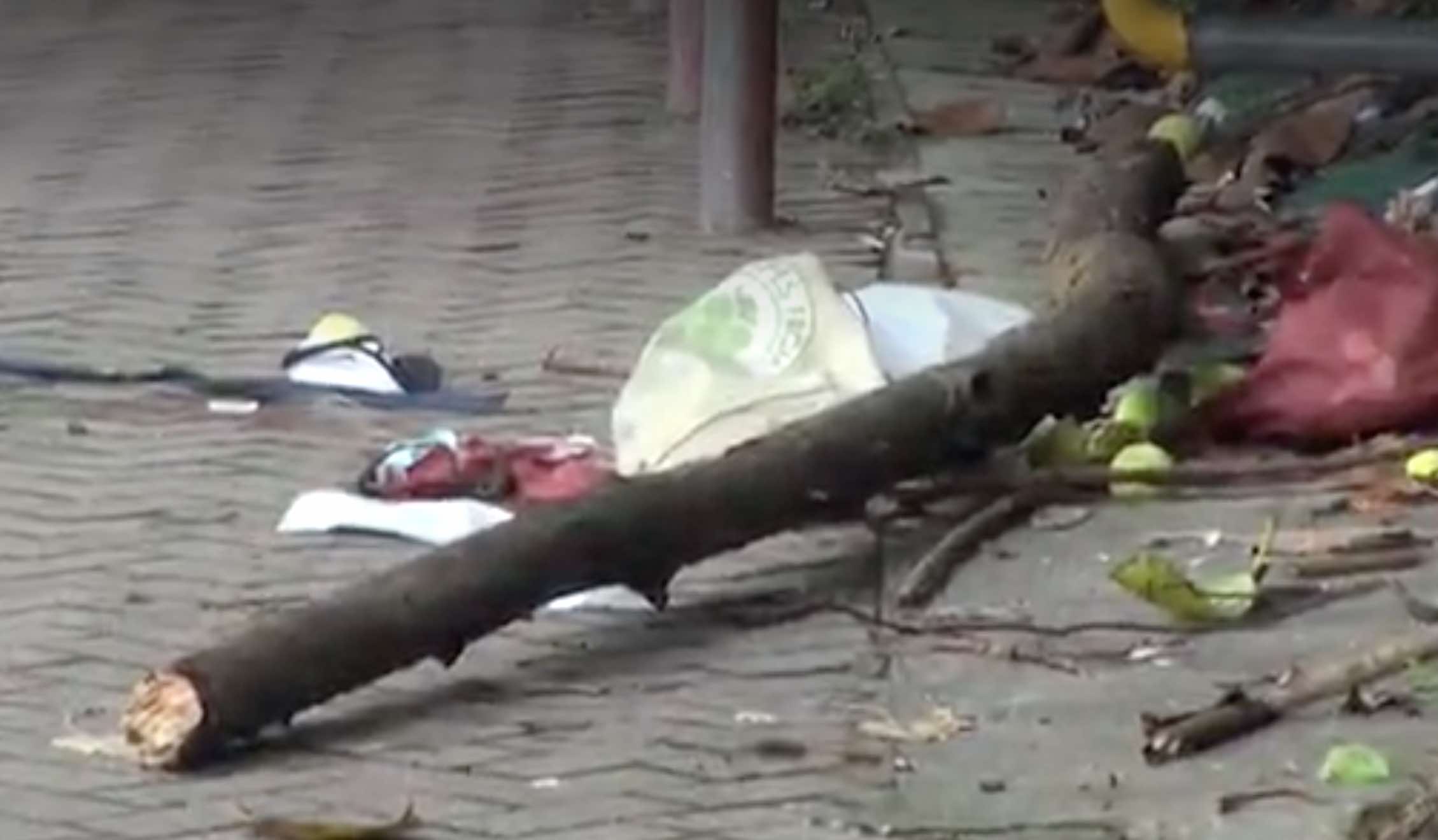 Indonesian domestic worker killed by falling tree branch in Sau Mau ...