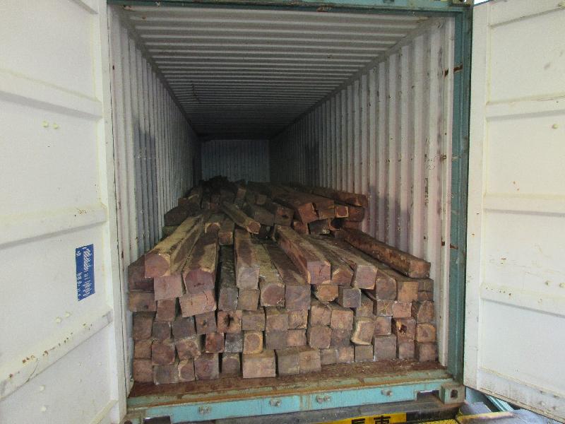 Woman sentenced to three months in prison in illegal timber trafficking ...