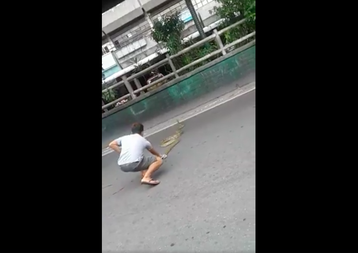 VIRAL: Crowd successfully traps python after it raises havoc in Manila ...