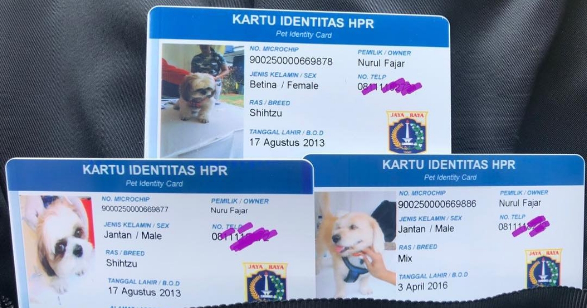 Jakarta gov't issues canine ID cards for good dogs that get ...