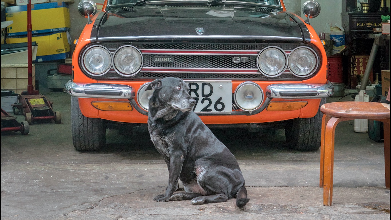 Interview: Photographer Marcel Heijnen turns the lens on the city's ...