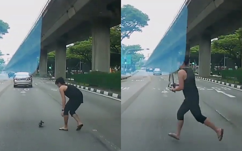 WATCH: Woman dashes across the road to save a struggling pigeon | Coconuts