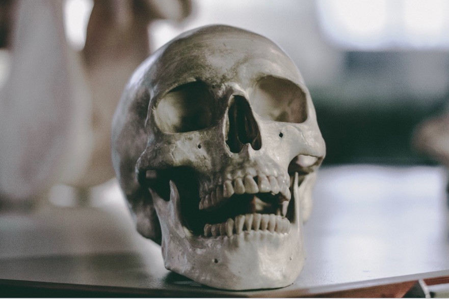 Trash scavenger discovers skull in roadside garbage dump | Coconuts