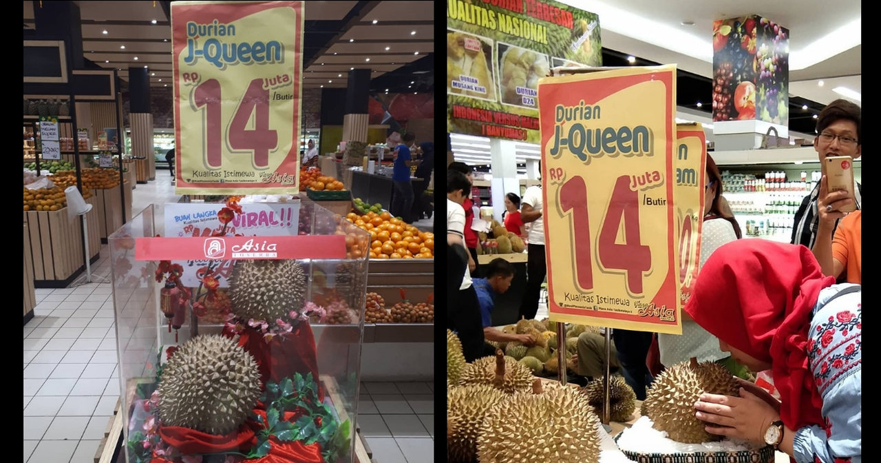 Queen of fruit: Rare Indonesian durian selling for IDR14 million ($1000 ...