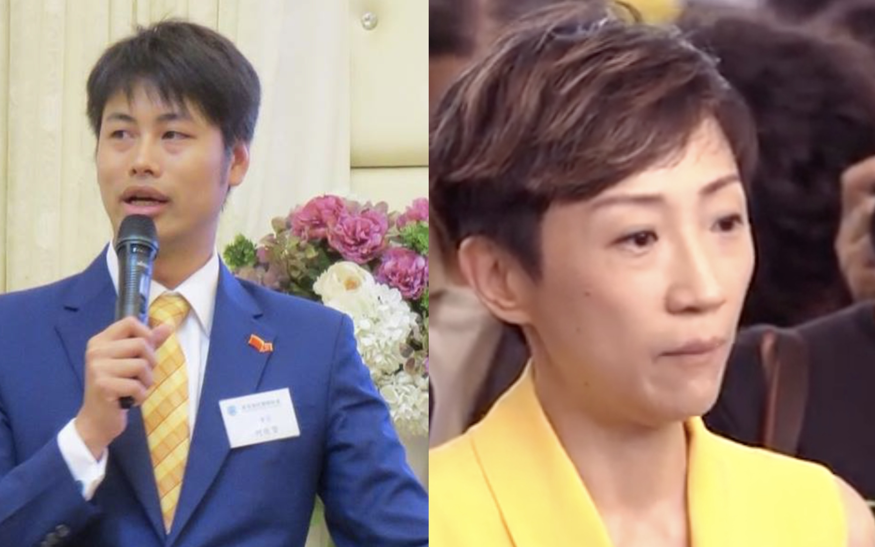 Pro-Beijing pols slammed for suggesting pro-dem Tanya Chan's brain ...