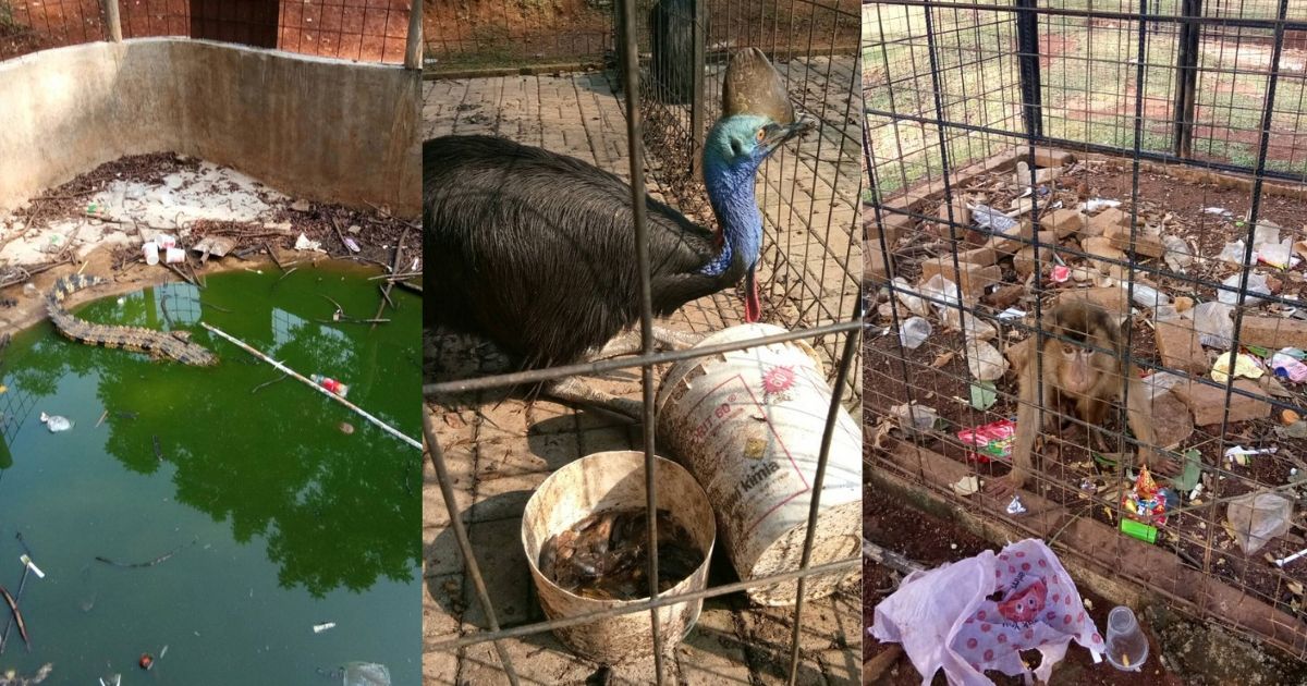 Viral: Outrage over filthy conditions at mini-zoo in West Java ...