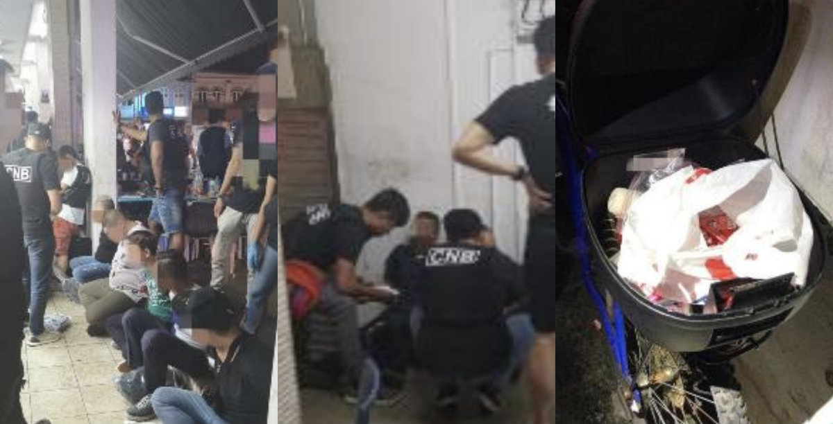 24 Arrested Nearly 2kg Of Shrooms Seized In Drug Bust Coconuts