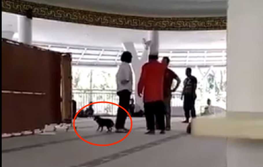 Viral FB post alleges dog brought into mosque in viral video killed in ...