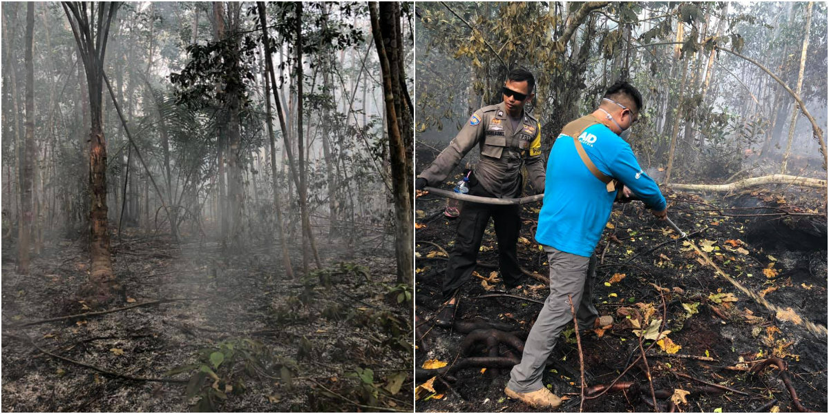 Singaporean Benjamin Tay and team join firefighters in Sumatra to ...