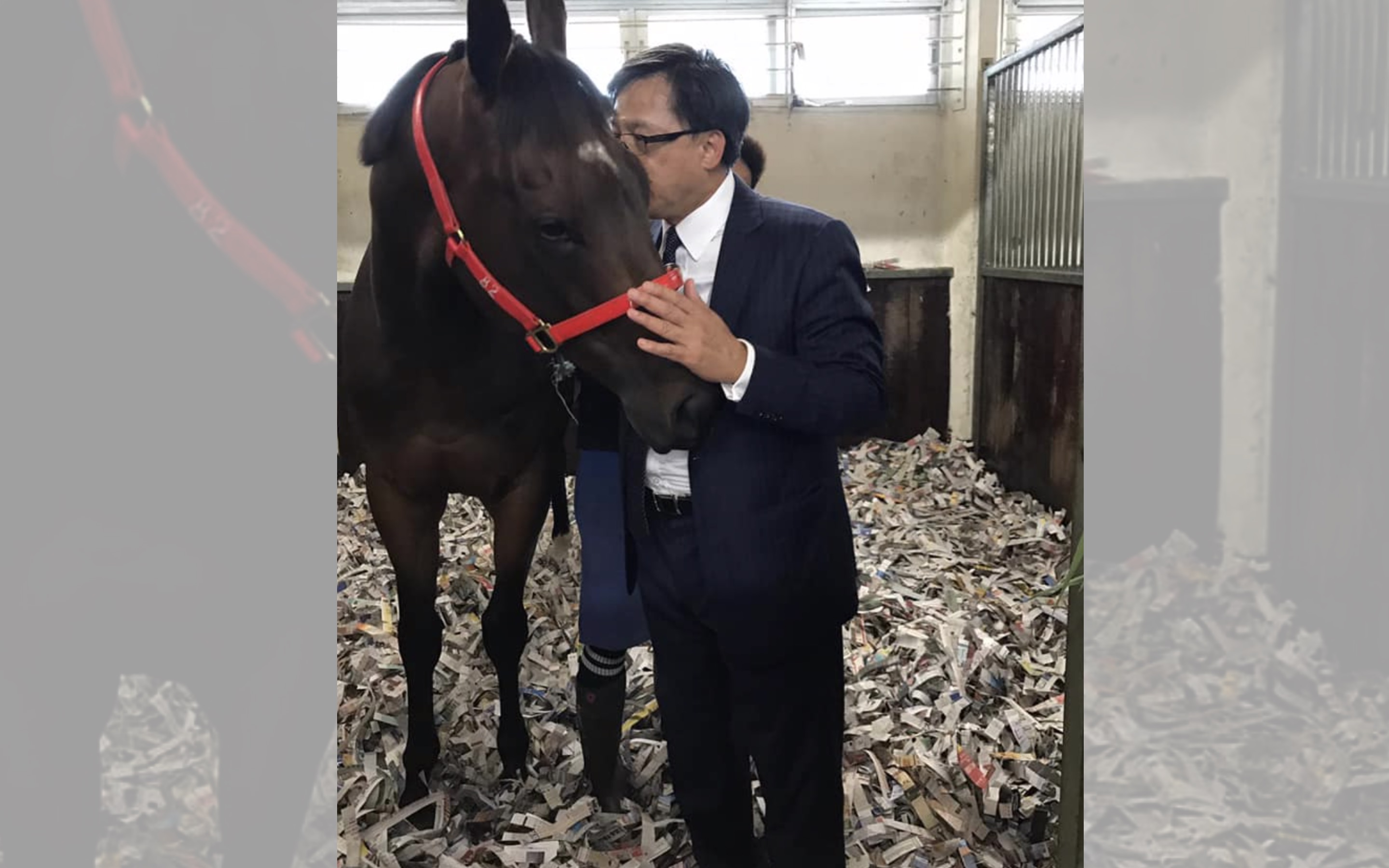 Pro-Beijing lawmaker Junius Ho pulls his horse from racing until unrest ...
