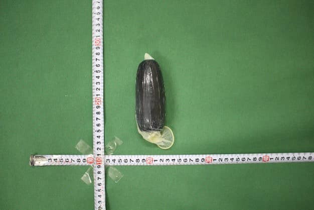 Japan wary of Thai travelers after 7 women arrive with meth in undies ...