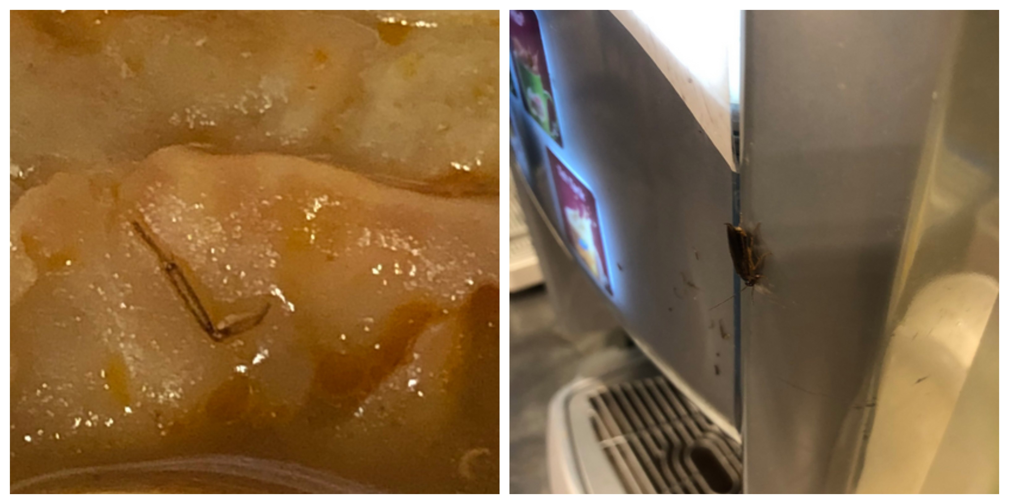 Roach Pot: Patron alleges cockroach leg floating in his soup, while ...