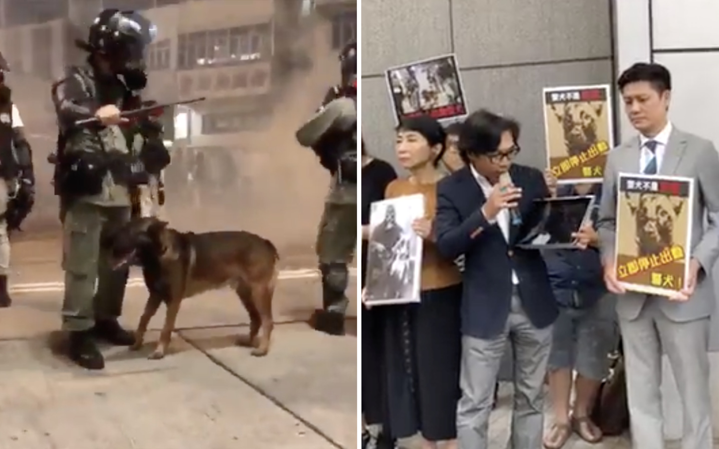 'Dogs are not weapons': Animal lovers file complaint over police dog ...