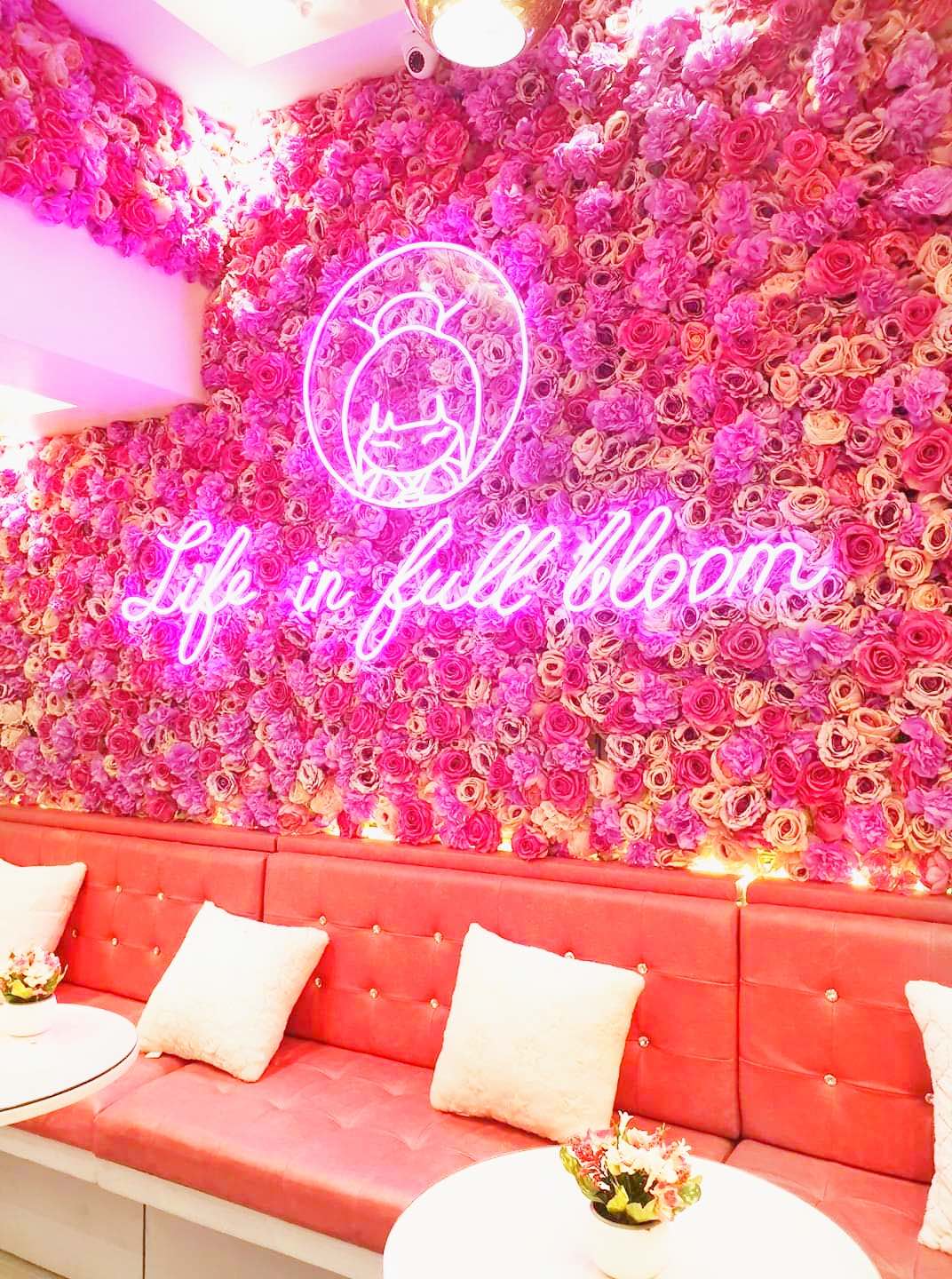 In the mood for edible flowers? Tea shop Sakura Hanami offers petal ...