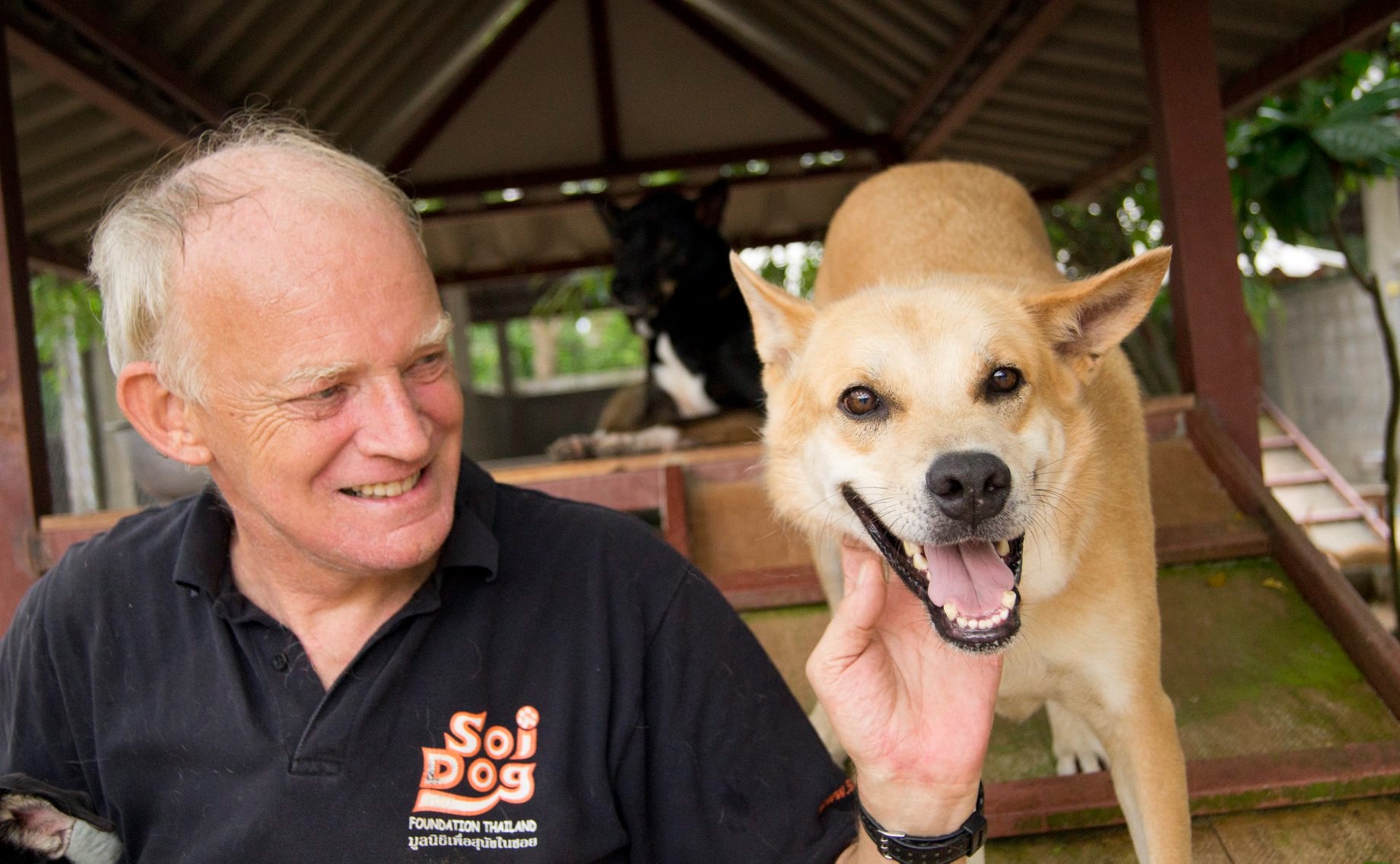 ‘Until no more unwanted dogs and cats’: Soi Dog founder dedicates ...