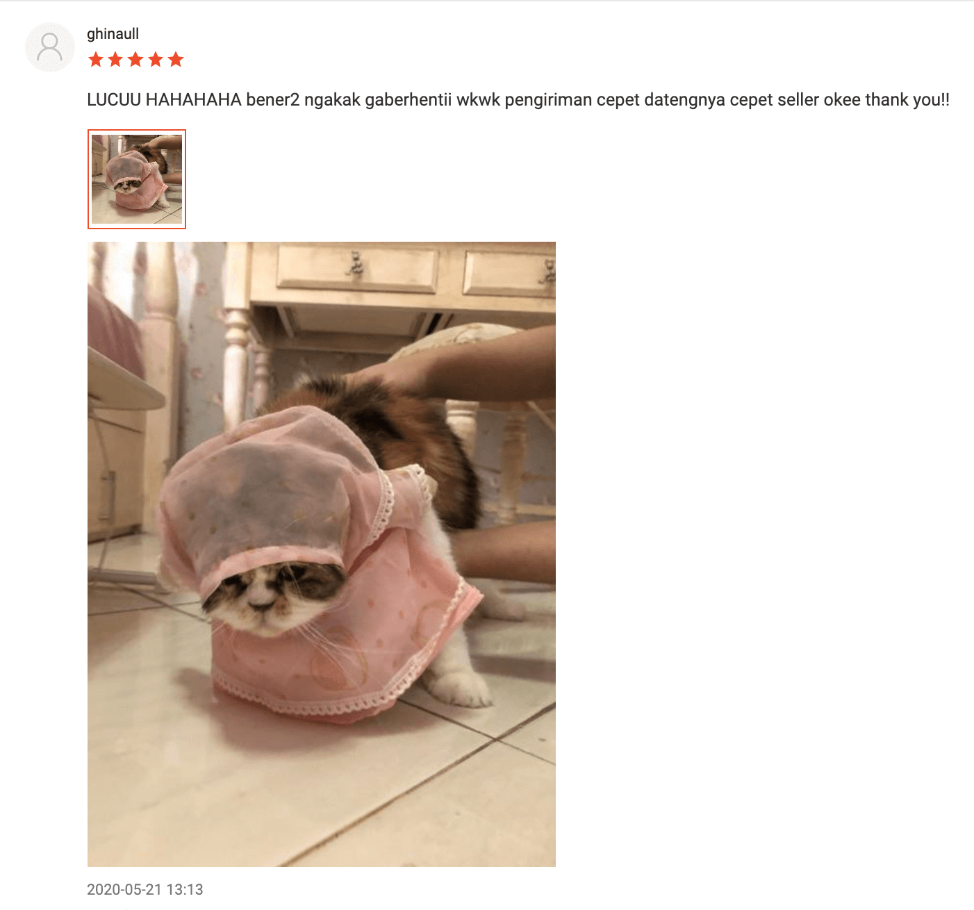 Modest Cats: ‘Ukhti’ hijabs for kitties sold online have Indonesians LOLing | Coconuts